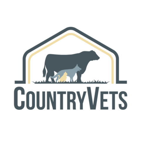 Best Veterinary Clinic Near Columbia, MO | CountryVets